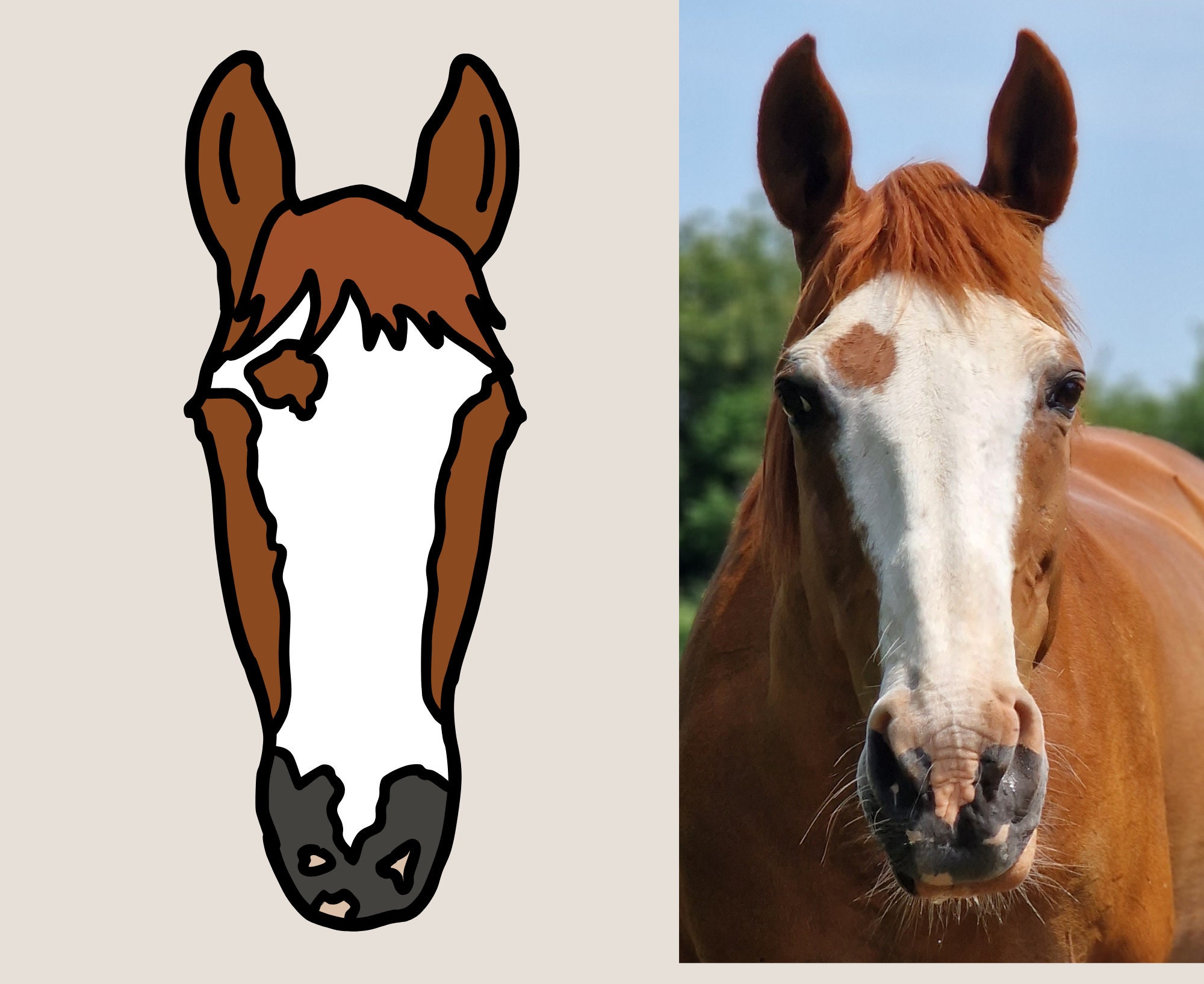 Custom Horse Outline Drawing, Horse Face Outline Drawing, Horse ...