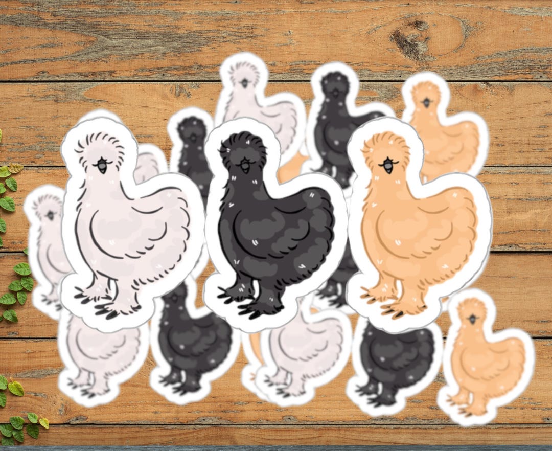 Silkie Chicken Sticker - White Gray Buff Trio Kiss-cut Stickers for ...