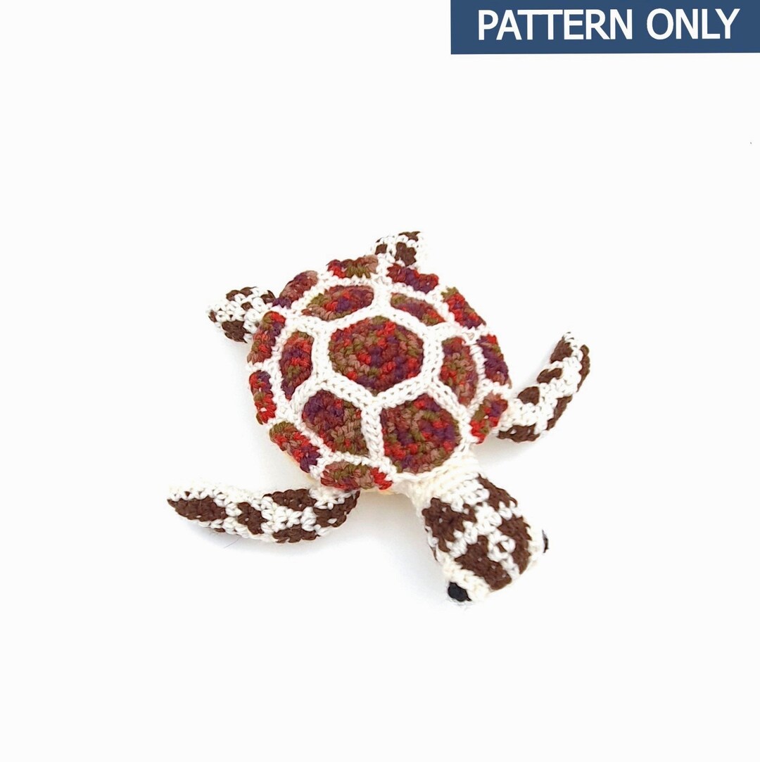 Tiare the Small Green Sea Turtle Easy to Follow Ocean Creatures ...