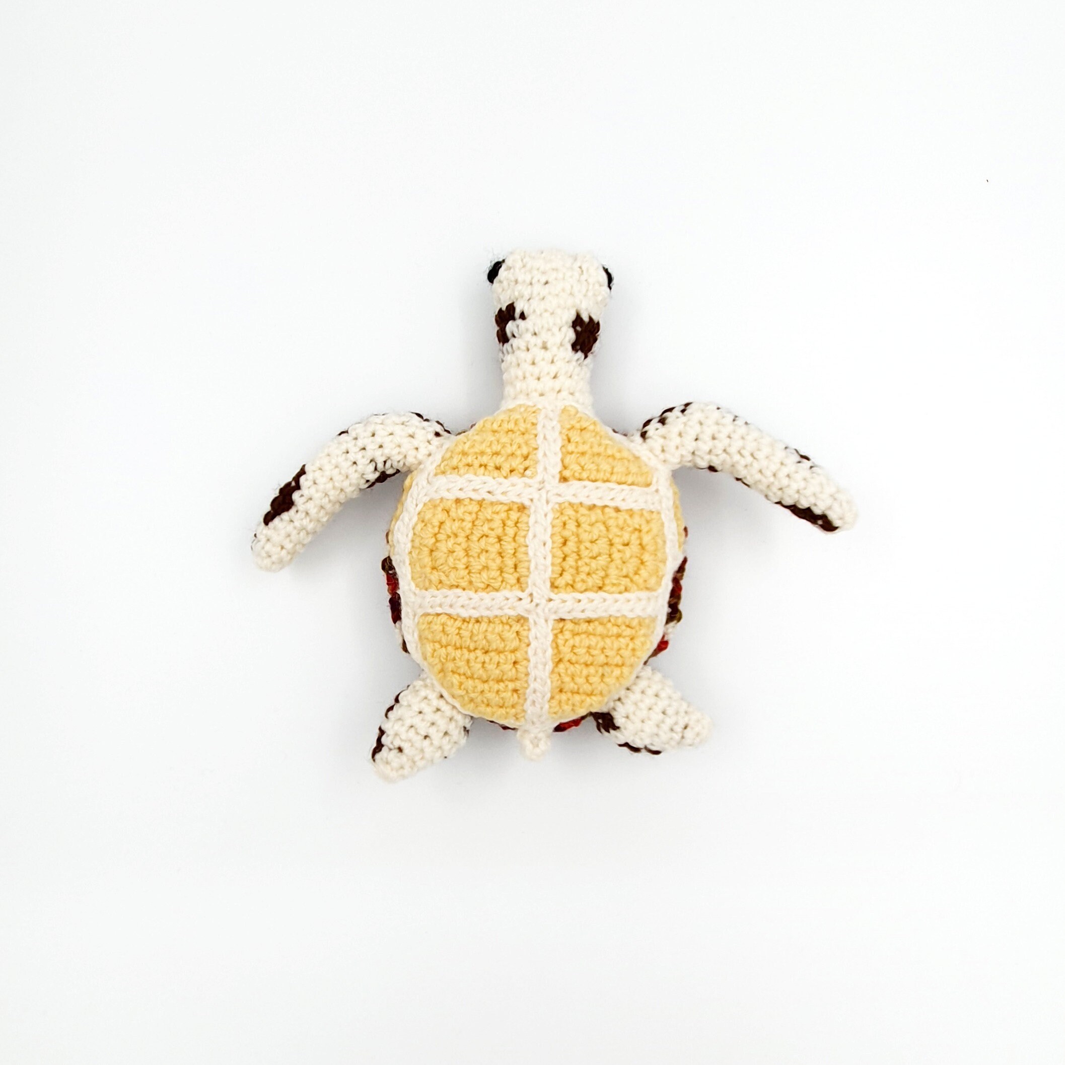 Tiare the Small Green Sea Turtle Easy to Follow Ocean Creatures ...