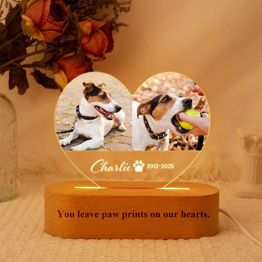 Personalized Pet Memorial LED Night Light, Custom Photo Keepsake - Etsy