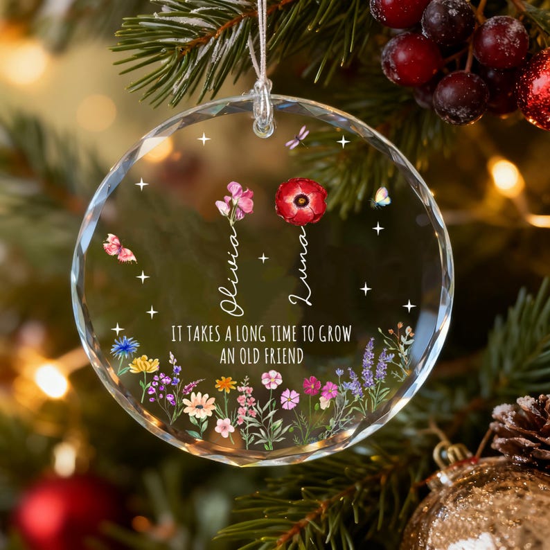 Birth Month Flower Best Friend Acrylic Ornament: Besties Ornament Gift ...