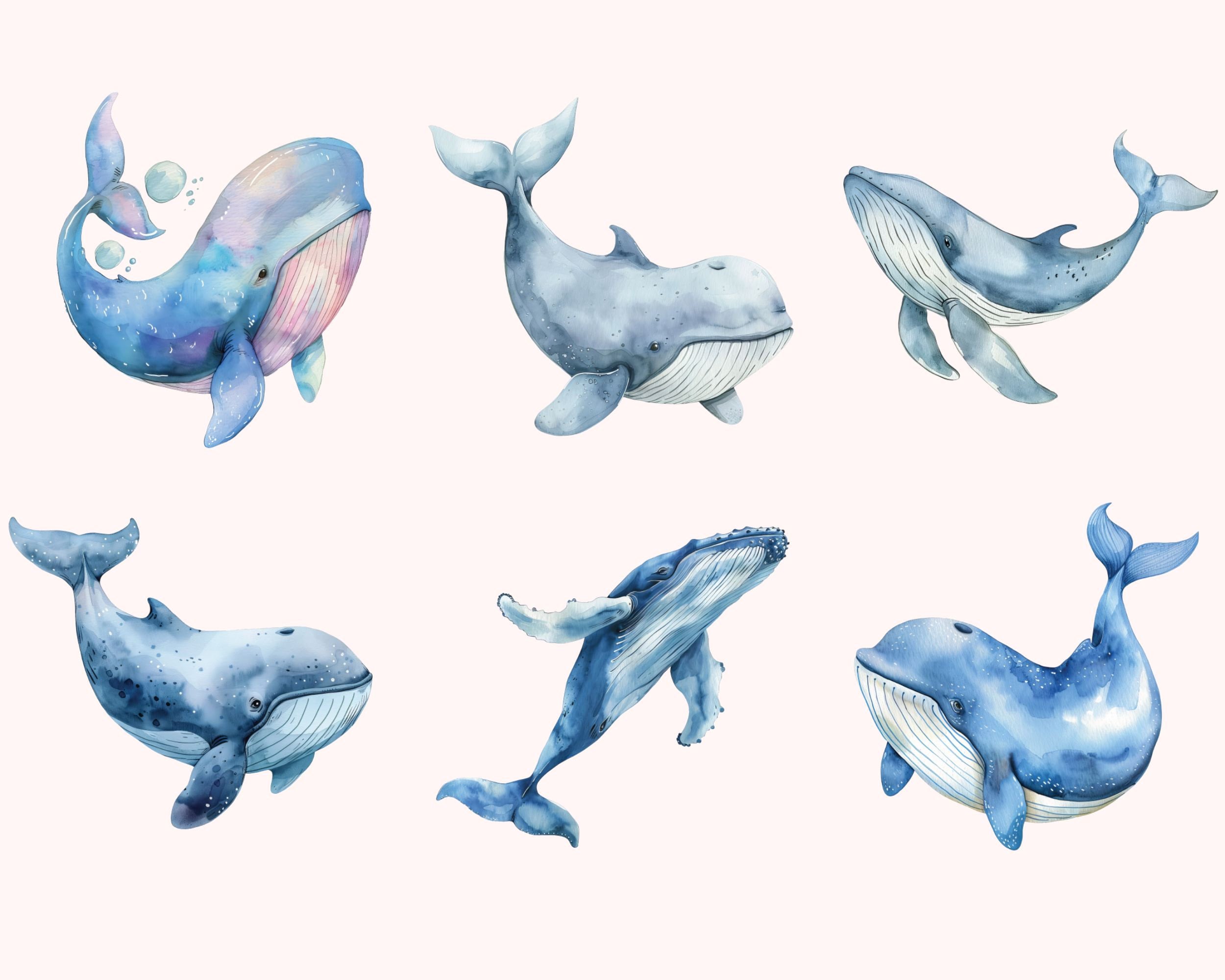 52 Watercolor Whale Clipart Sea Animal Blue Whale Whale Illustration ...