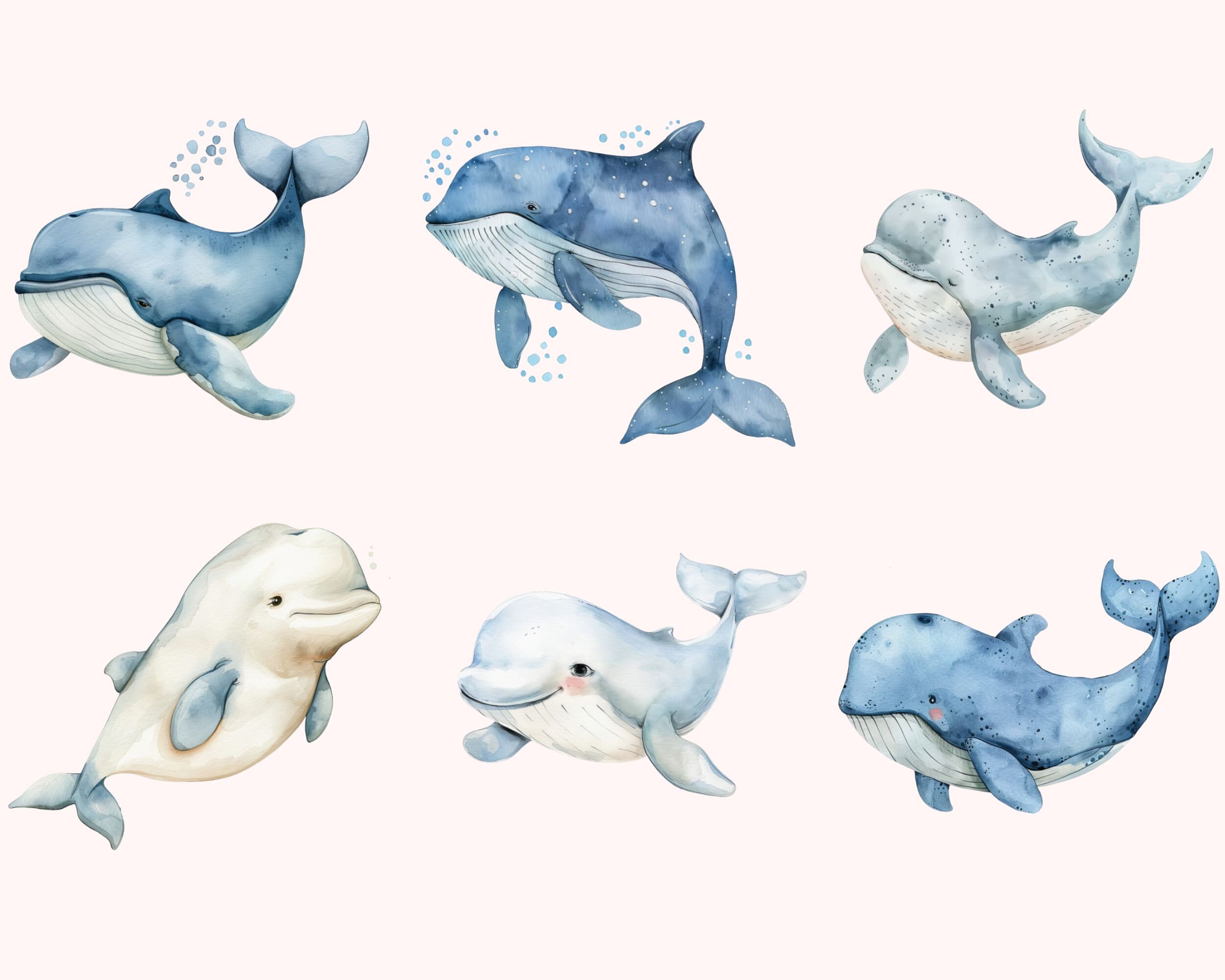 52 Watercolor Whale Clipart Sea Animal Blue Whale Whale Illustration ...
