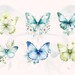 Butterflies Clipart Bundle | Butterfly PNG | Watercolor Butterflies ...