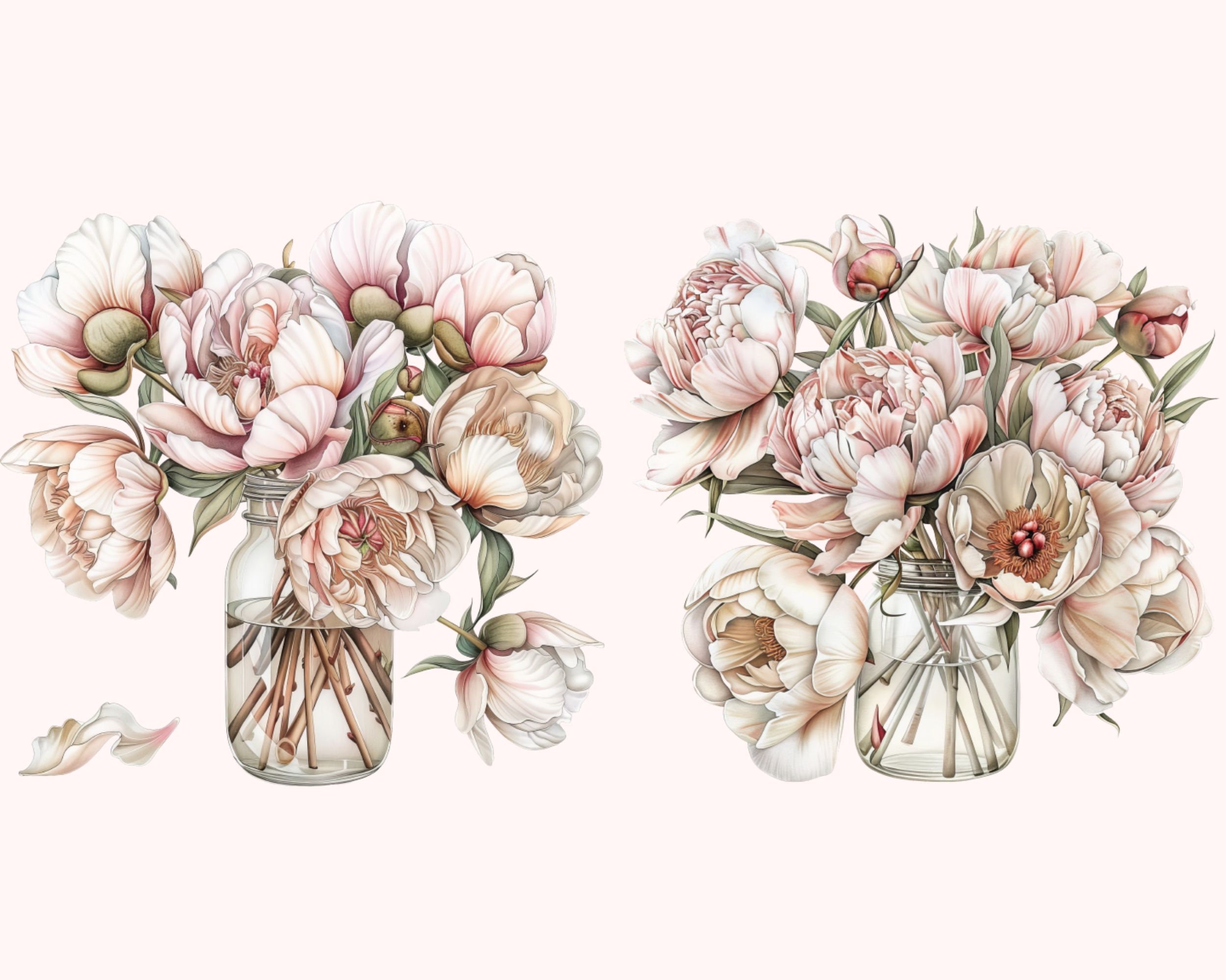 Peonies in A Vase Clipart Watercolor Pink Peony Clipart Peony ...