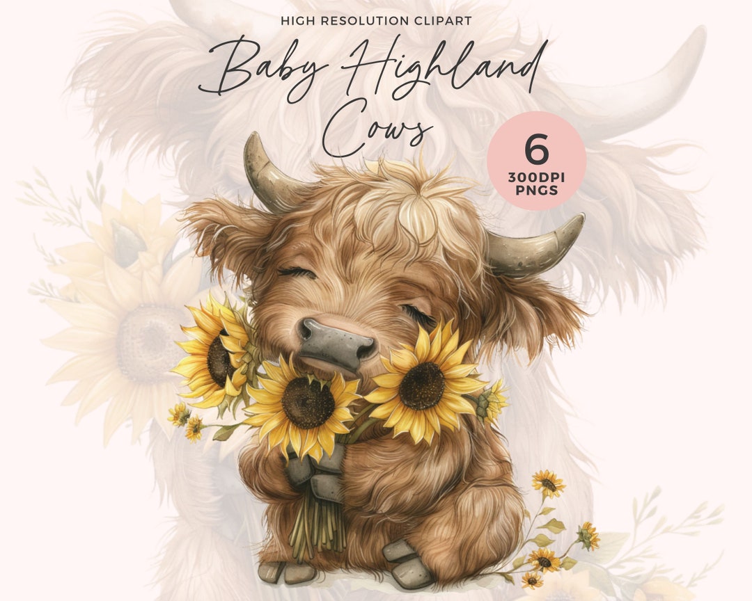 Watercolor Baby Highland Cow Clipart | Sunflower Pngs (commercial Use ...