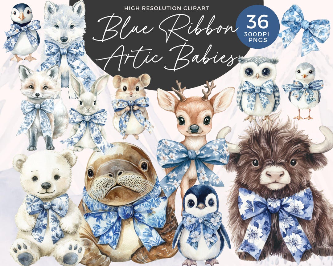 Baby Arctic Animals Clipart | Cute Winter Baby Animal | Penguin Polar ...