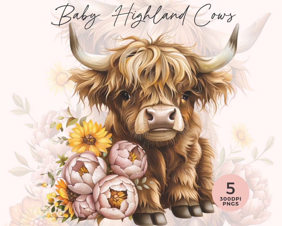 Baby Highland Cow Clipart | Highland Cow Png | Watercolor Sunflower ...