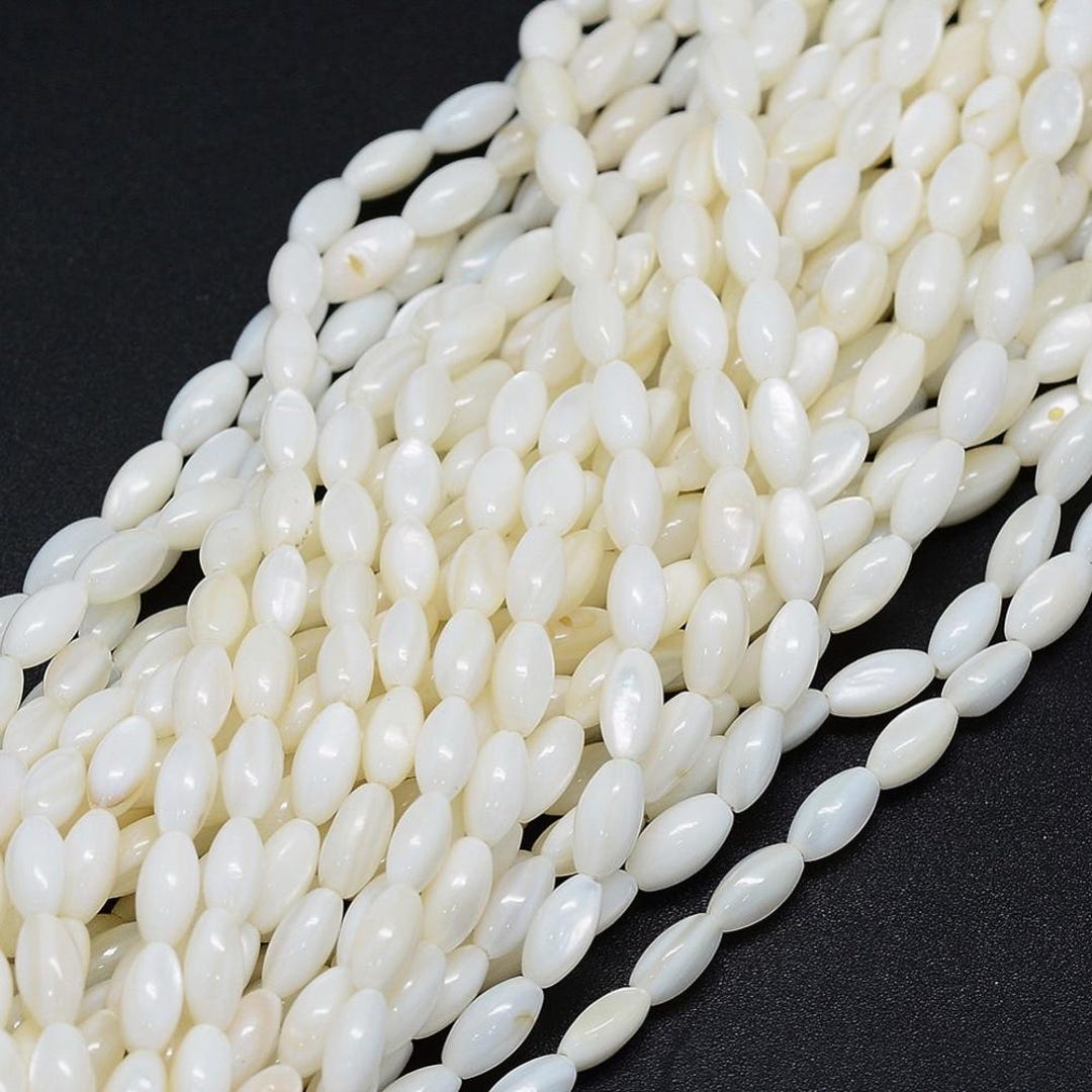 Creamy Pearly White Sea Shell Beads 1 Strand - Etsy