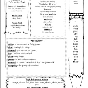 Wonders Grade 2 Unit 2 2023 Full Workbook Packet - Etsy