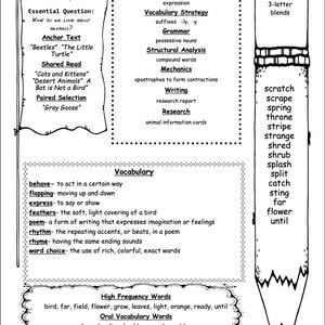 Wonders Grade 2 Unit 2 2023 Full Workbook Packet - Etsy