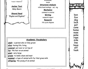 Wonders Grade 2 Unit 1 2023 Full Workbook Packet - Etsy