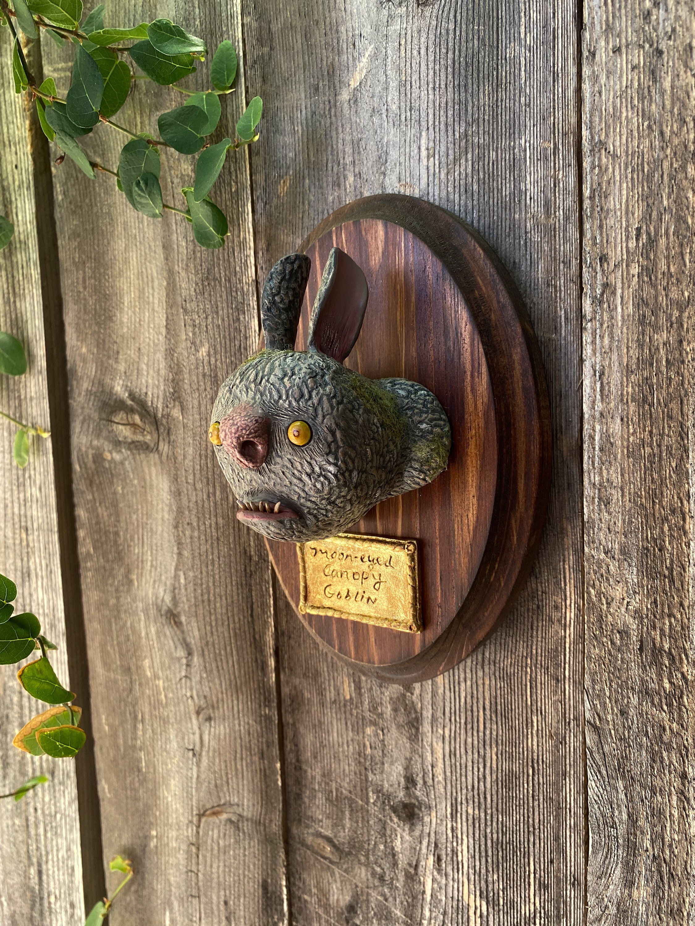 Moon-eyed Canopy Goblin Taxidermy Mounted Head - Etsy