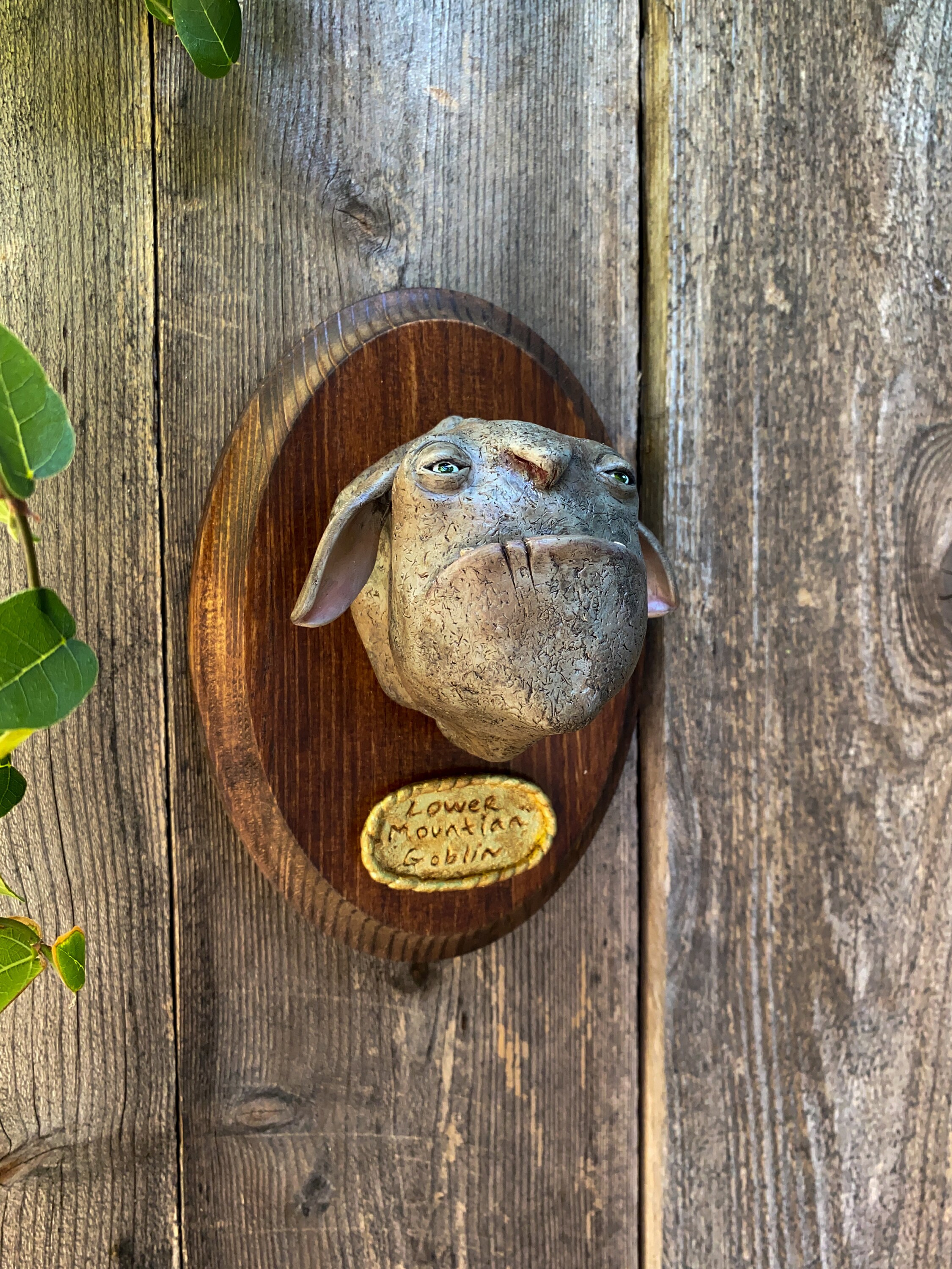 Lower Mountain Goblin Mounted Taxidermy Head - Etsy