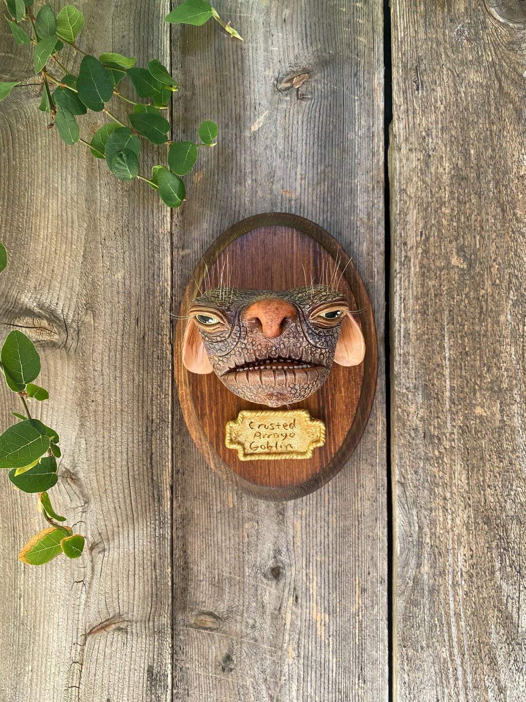 Crusted Arroyo Goblin Taxidermy Mounted Head - Etsy