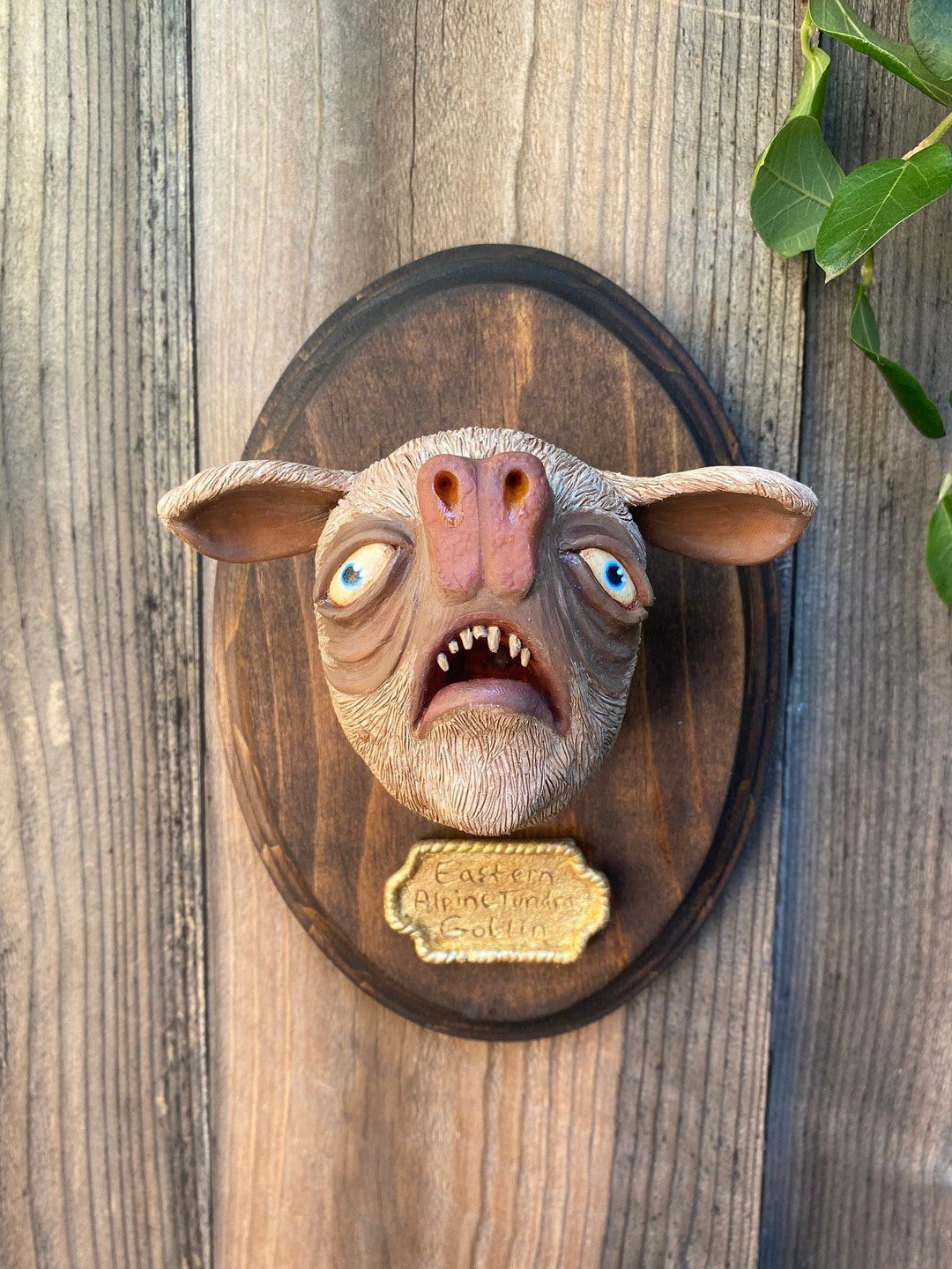 Eastern Alpine Tundra Goblin Taxidermy Mounted Head - Etsy
