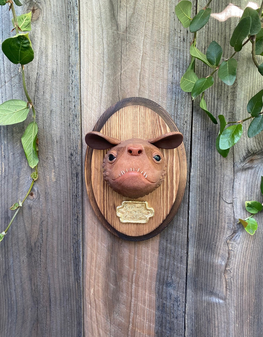 Central Prairie Goblin Mounted Head - Etsy