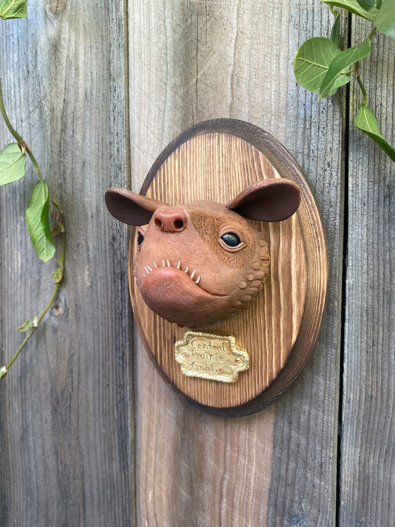 Central Prairie Goblin Mounted Head - Etsy