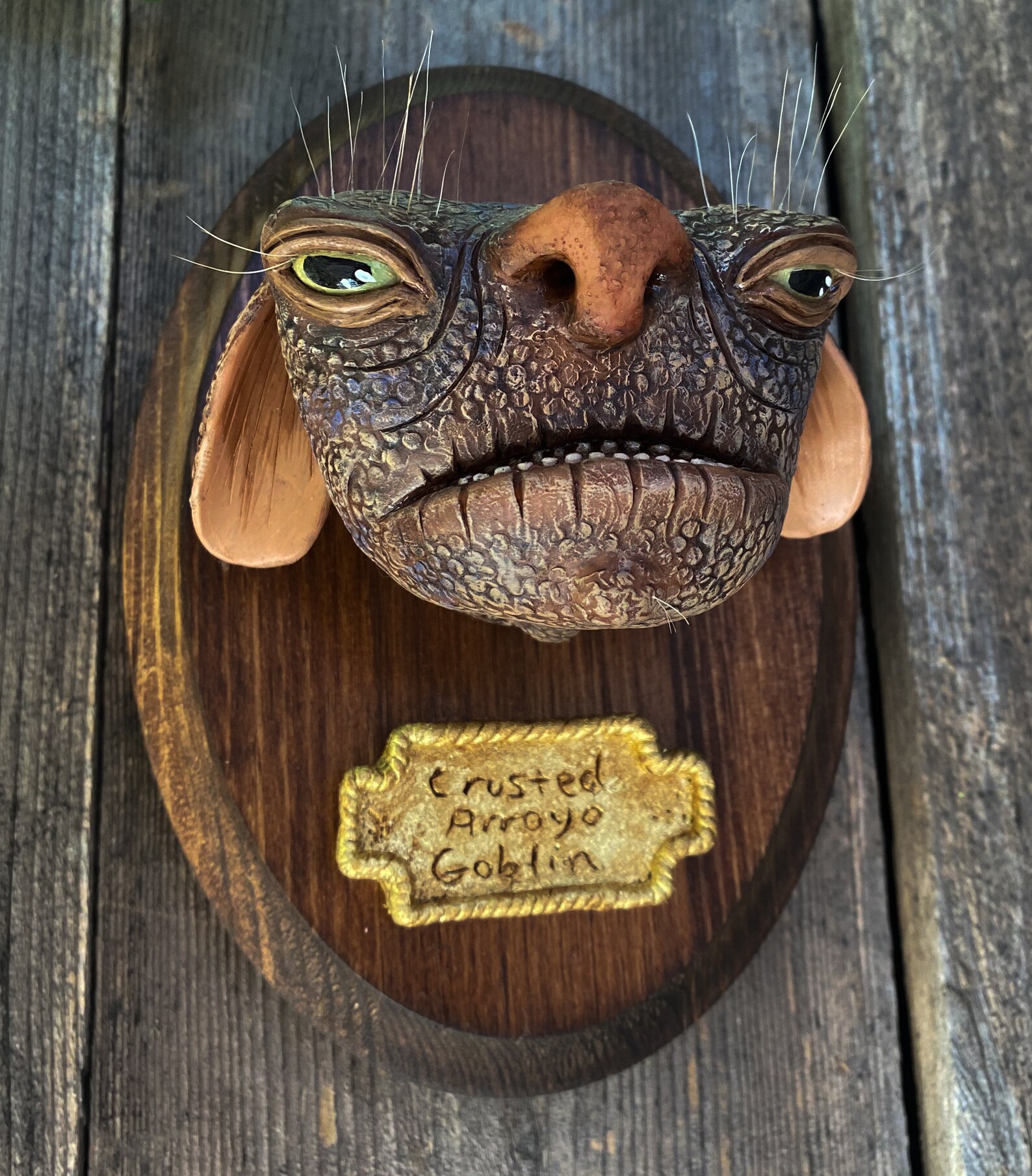Crusted Arroyo Goblin Taxidermy Mounted Head - Etsy