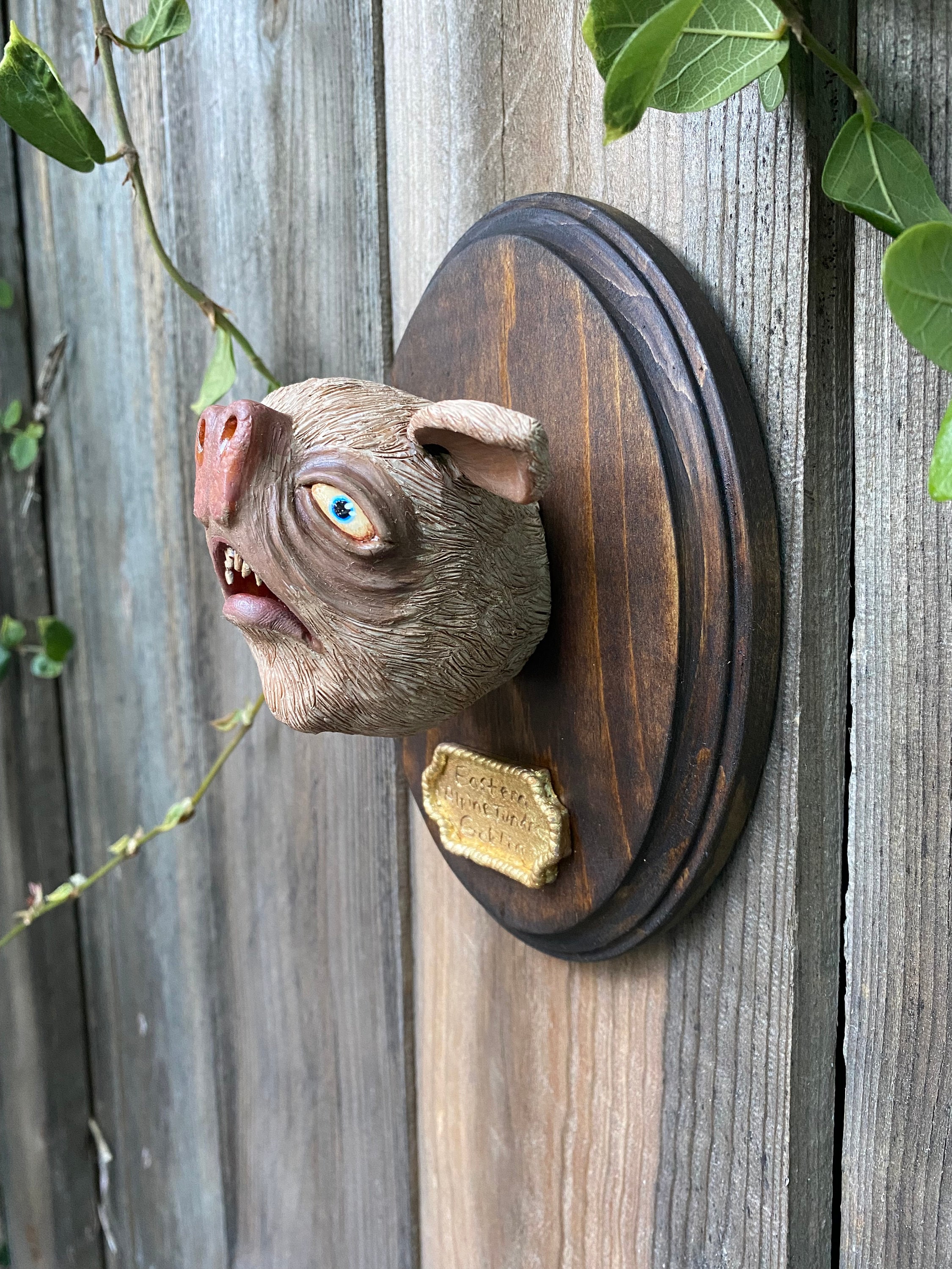 Eastern Alpine Tundra Goblin Taxidermy Mounted Head - Etsy