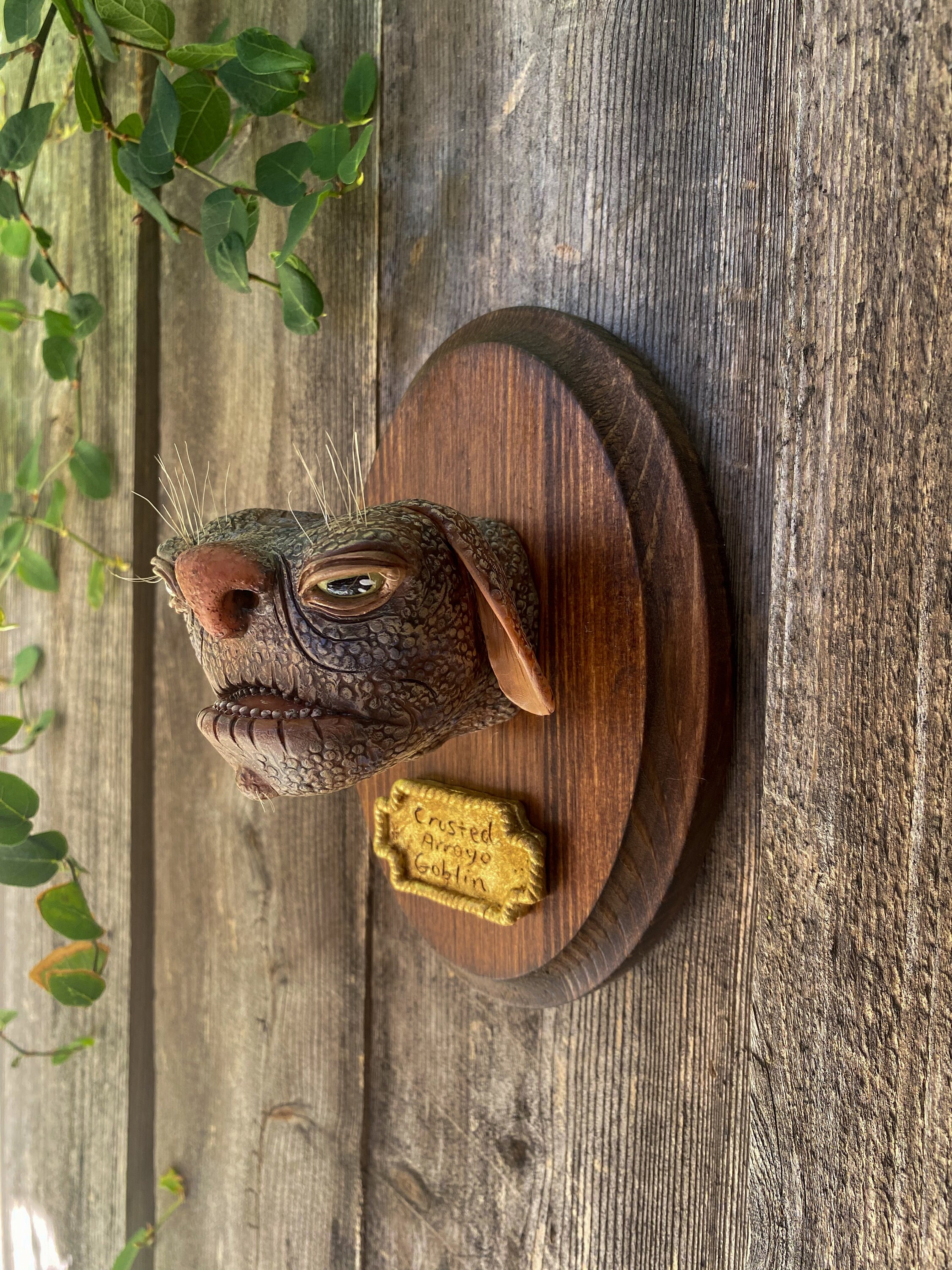 Crusted Arroyo Goblin Taxidermy Mounted Head - Etsy
