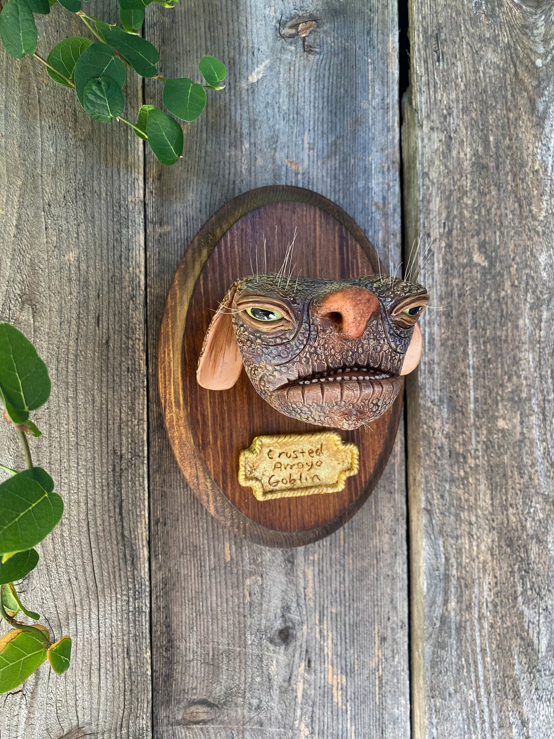 Crusted Arroyo Goblin Taxidermy Mounted Head - Etsy