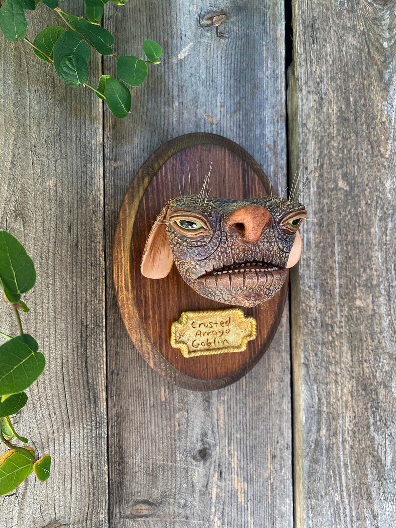 Crusted Arroyo Goblin Taxidermy Mounted Head - Etsy