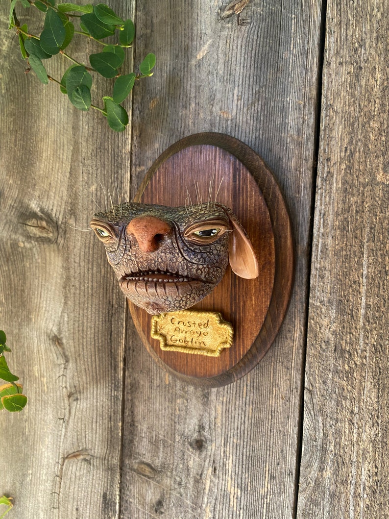 Crusted Arroyo Goblin Taxidermy Mounted Head - Etsy