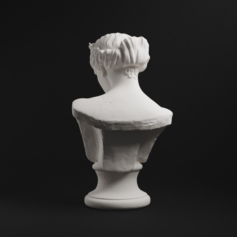 Sculpture Bust of Venus De Capua Plaster Replica of Afrodita - Etsy