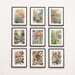 50 Ultimate Watercolored Nature Art Collection : Digital Download ...