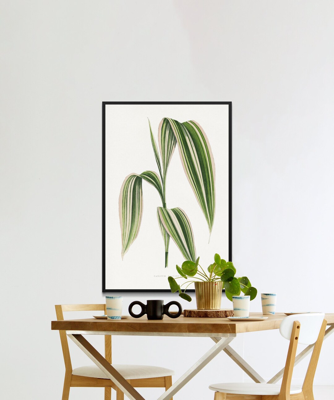 Panicum Plicatum Leaf Illustration, Botanical Art Print, Panicle Leaf ...
