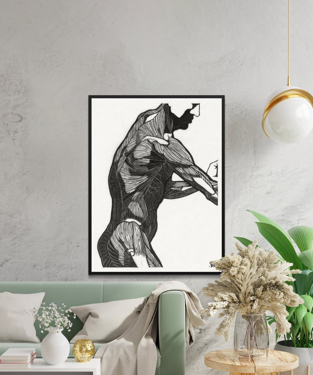 Anatomical Study Man Lateral Arm Muscles Wall Art Print - Etsy