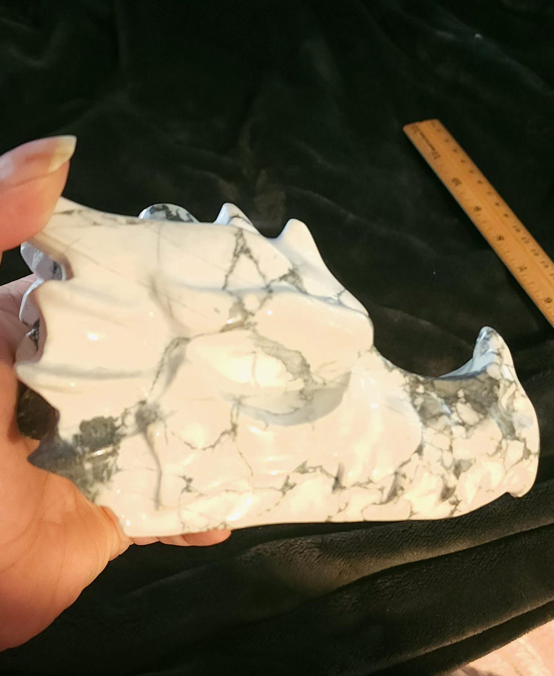 Very Large Howlite Dragon Skull Head - Etsy