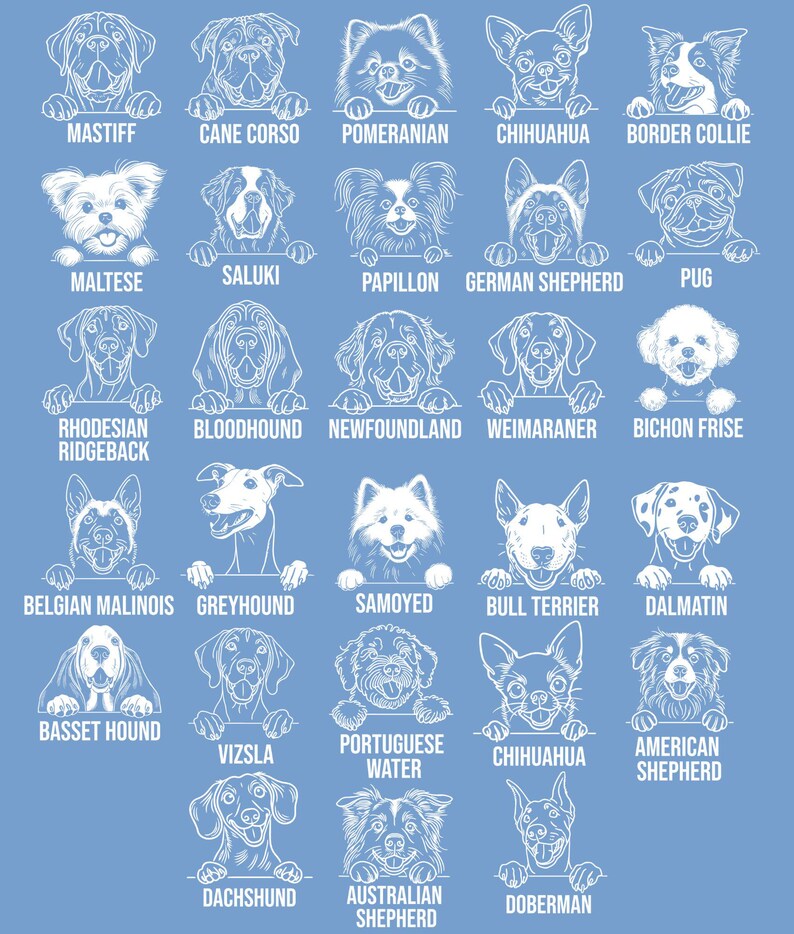 Custom Basset Hound T-shirt | Personalized Basset Tee | Basset Hound ...