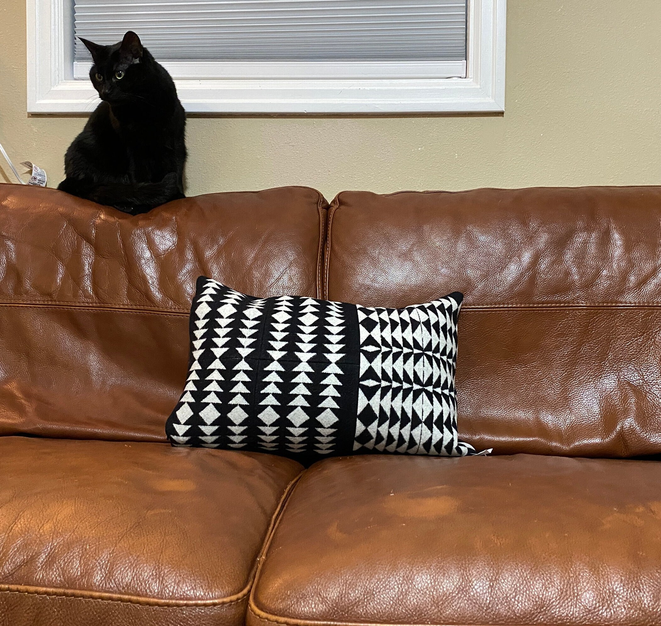 Wool Pillow Cover and Insert Pendleton Wool - Etsy