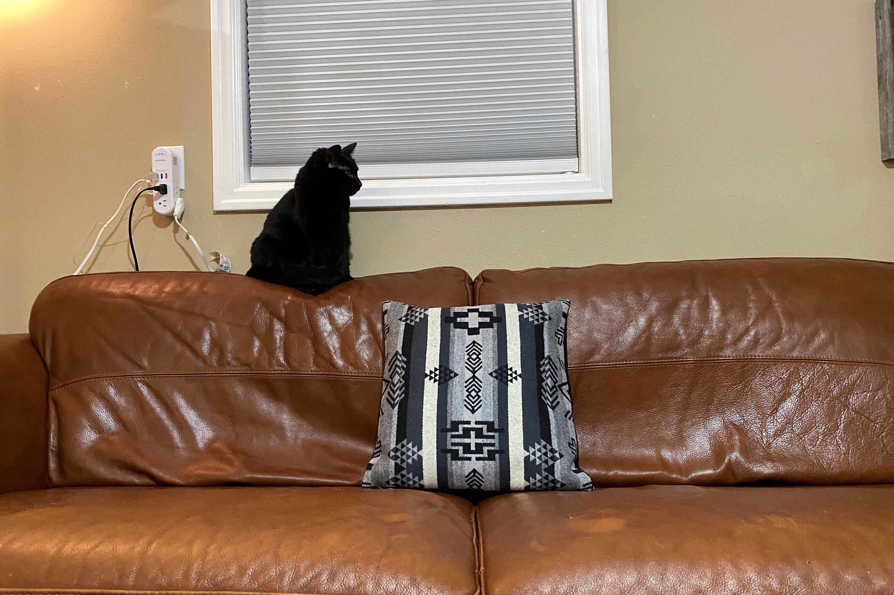 Wool Pillow Cover and Insert- Pendleton Wool - Etsy