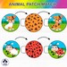 Animal Color Match Game - Printable PDF Puzzle for Kids | Learn Animal ...