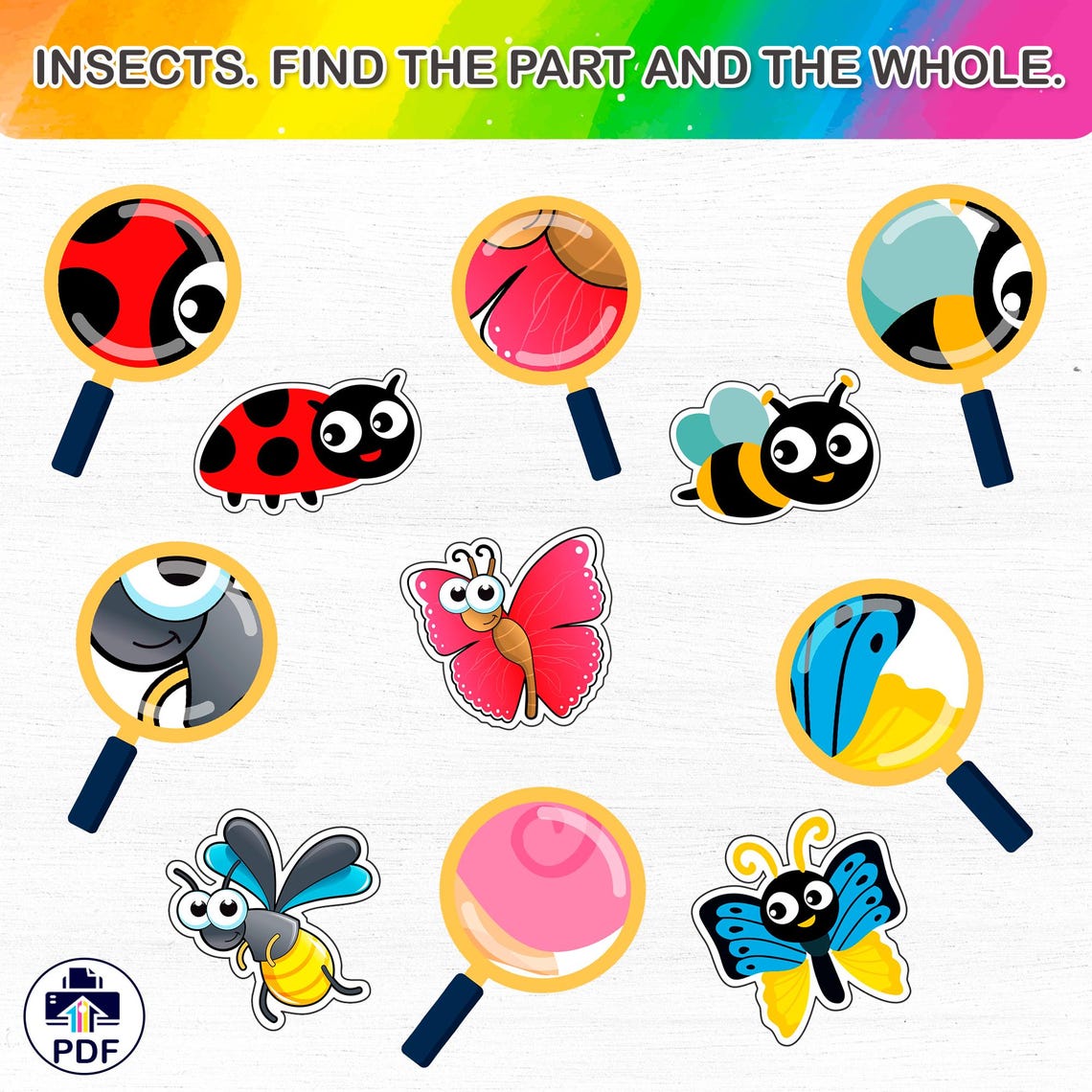 Large Insect-themed Activity Set for Kids | Games With Flashlight ...