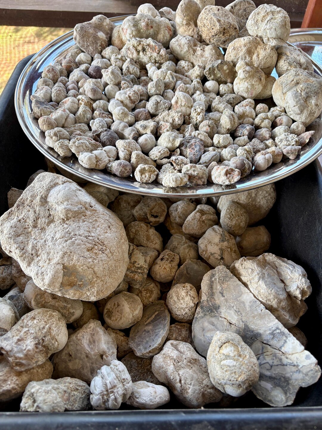Uncut Little Naches Thundereggs - Etsy