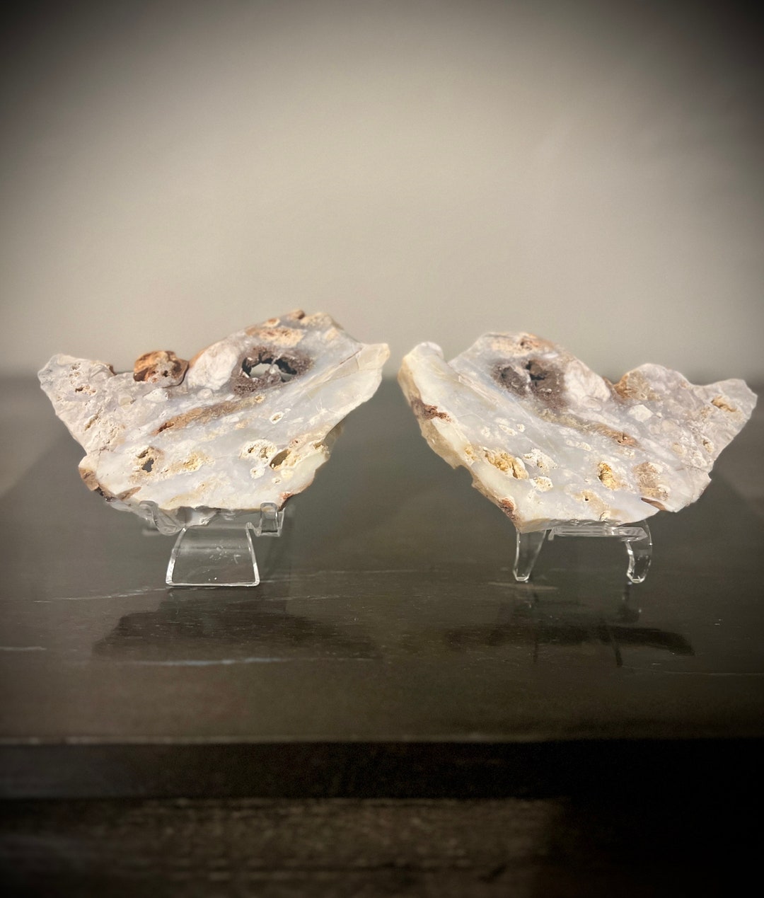 Petrified Bog Wood Slabs - Etsy