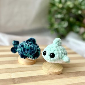 Mini Shark - Etsy