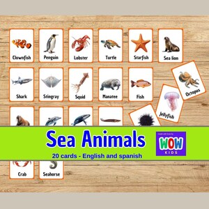 Flash Cards, Sea Animals, Preschool Flashcards, Printables Learning ...