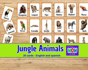 Flash Cards, Reptiles, Preschool Flashcards, Printables Learning ...