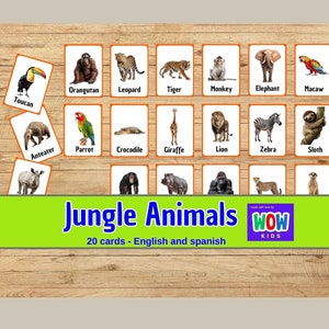 Flash Cards, Jungle Animals, Preschool Flashcards, Printables Learning ...