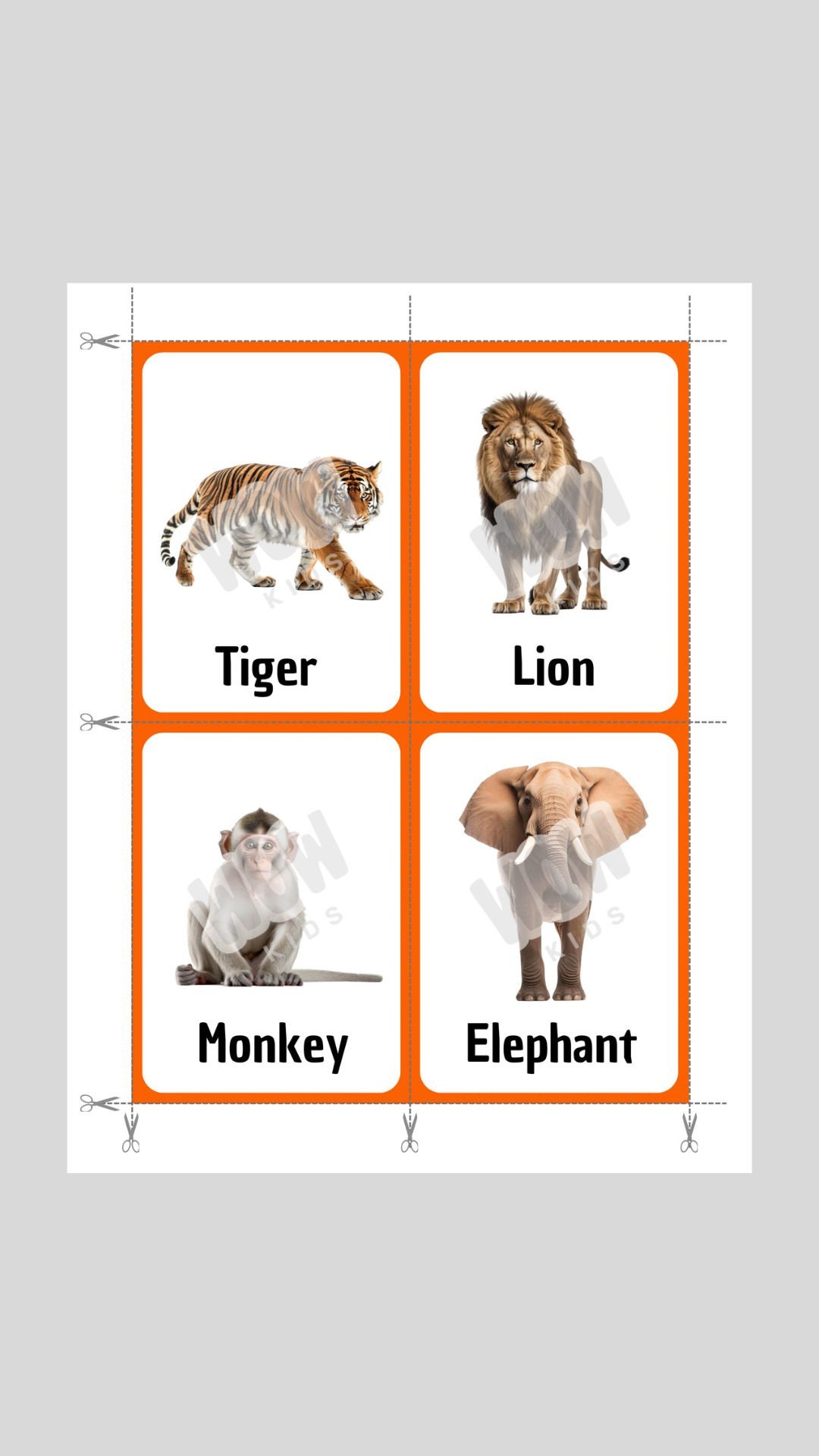 Flash Cards, Jungle Animals, Preschool Flashcards, Printables Learning ...