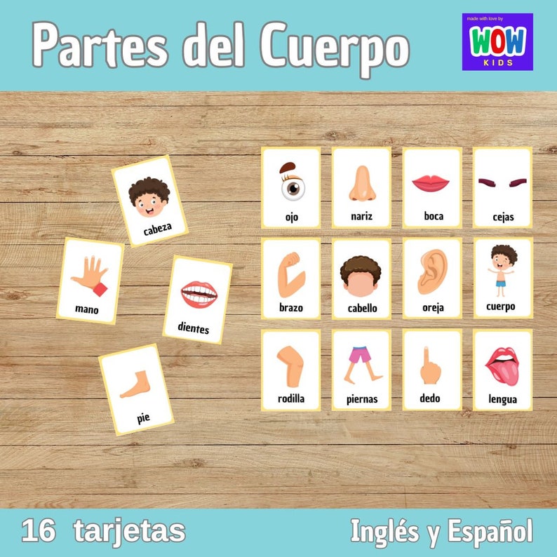 Flash Cards, Preschool Flashcards, Body Parts Flashcards, Image Cards ...