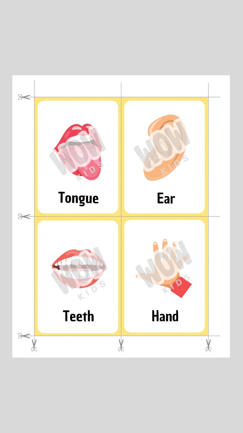 Flash Cards, Preschool Flashcards, Body Parts Flashcards, Image Cards ...
