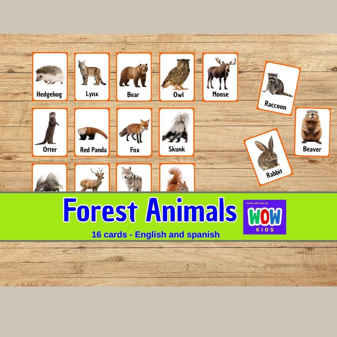 Flash Cards, Forest Animals, Preschool Flashcards, Printables Learning ...