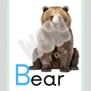 Flash Cards, Alphabet, Preschool Flashcards, Printables Learning ...